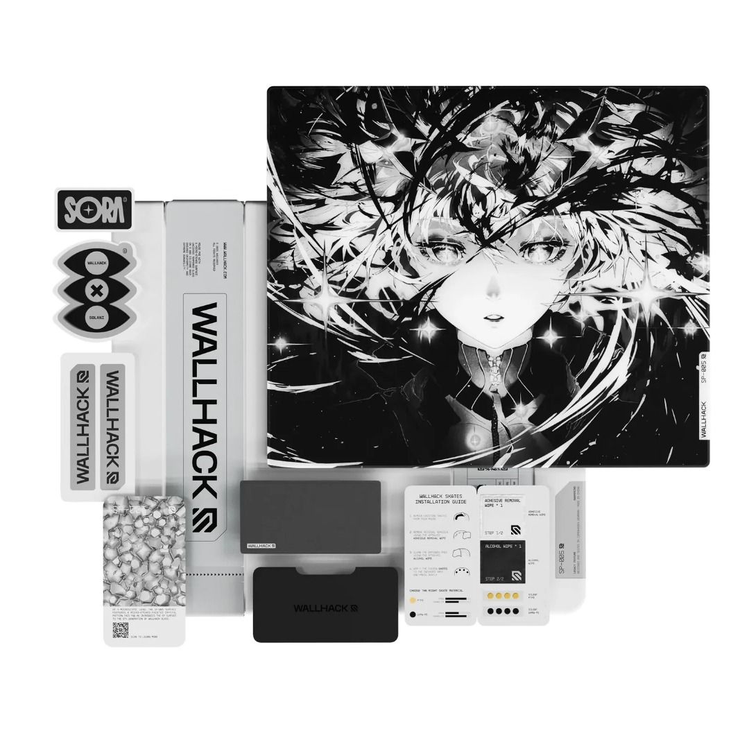 Wallhack SP-005 : Awakening Sora (Limited Edition) / not sp004 sp-004 ...