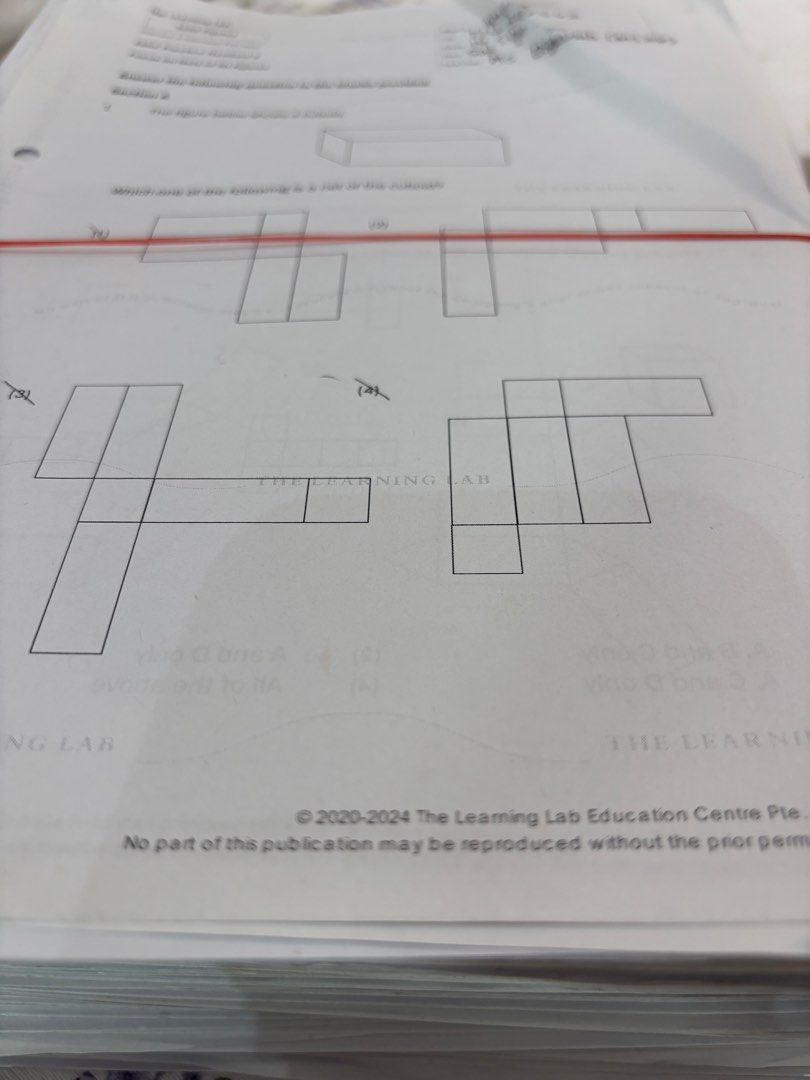 Learn—ing Lab Worksheets, Hobbies & Toys, Books & Magazines, Assessment ...