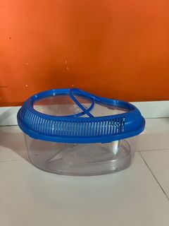 Caridina Tank Boa/Orange Boa Culls, Pet Supplies, Homes & Other Pet ...