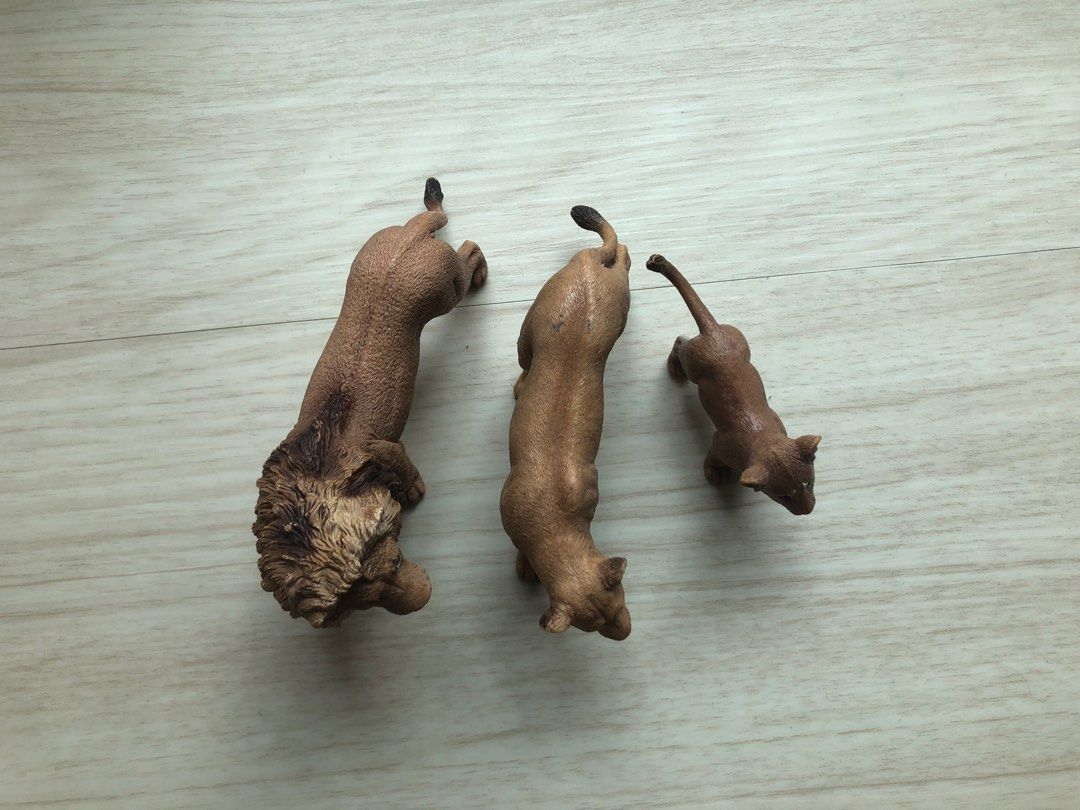 Schleich Lion Family Set, Hobbies & Toys, Toys & Games on Carousell