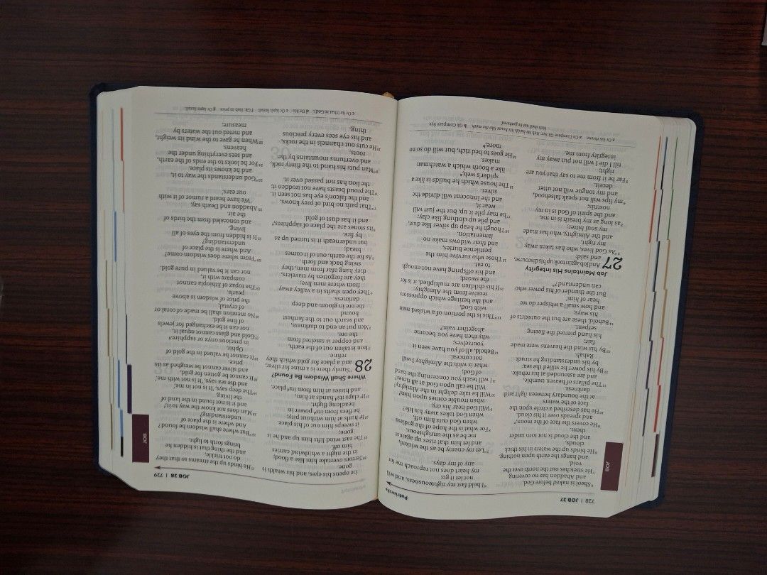 The Great Adventure Catholic Bible - Large Print, Hobbies & Toys, Books ...