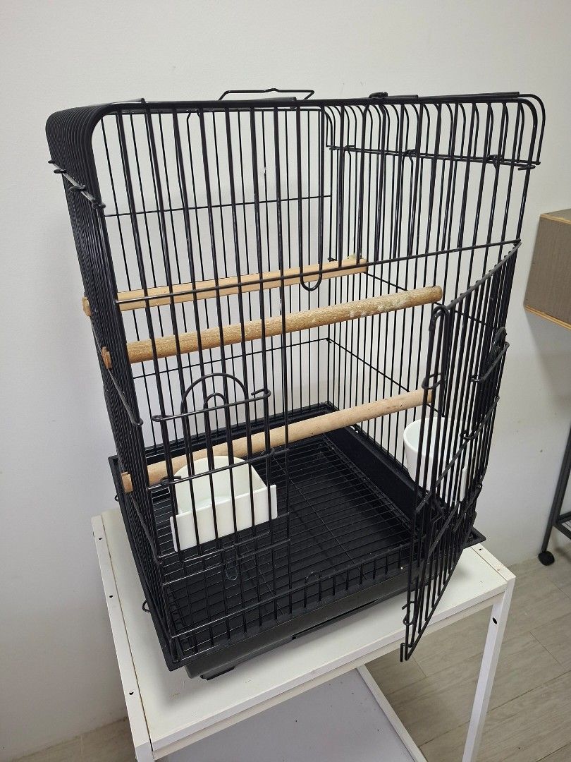 Black Bird Cage with Stand, Pet Supplies, Homes & Other Pet Accessories ...
