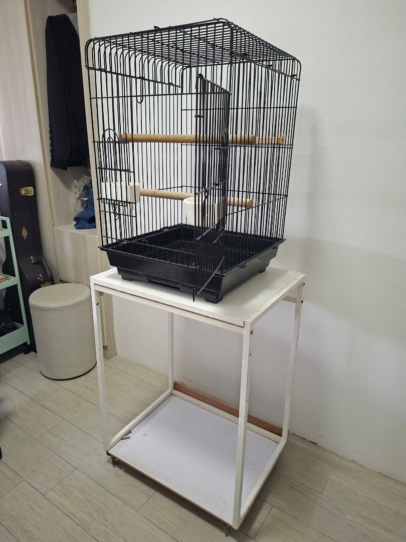Black Bird Cage with Stand, Pet Supplies, Homes & Other Pet Accessories ...