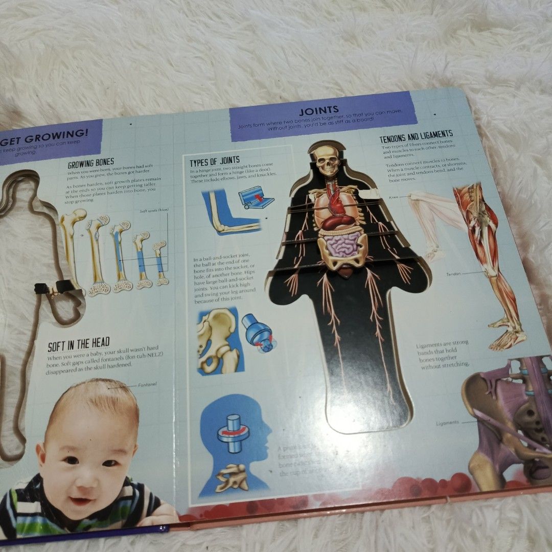 Inside Out Human Body Book, Hobbies & Toys, Books & Magazines, Children ...
