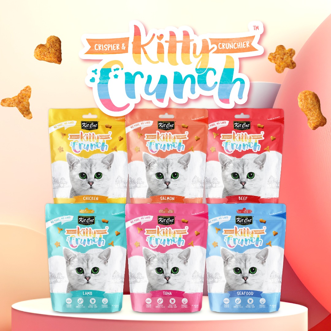 Kit Cat KittyCrunch Cat Bites 60g, Pet Supplies, Pet Food on Carousell