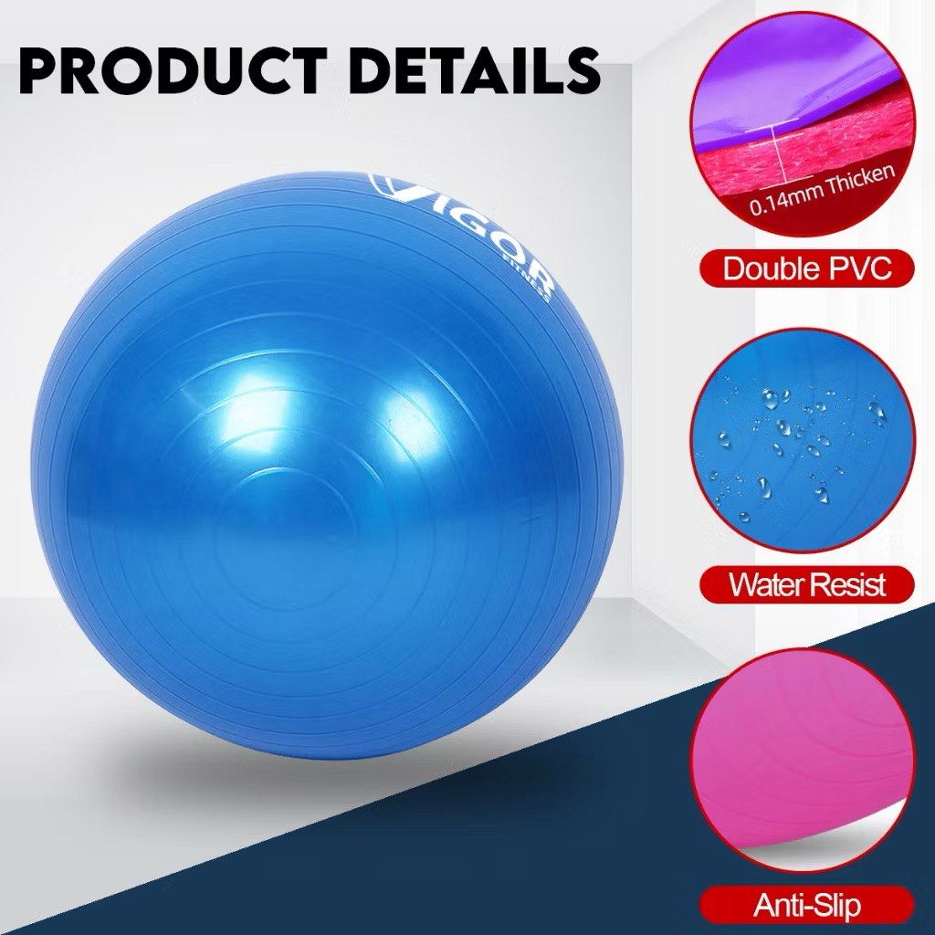 Gym Ball Yoga Pregnancy Ball Blue Exercise Ball with Air Pump, Sports ...