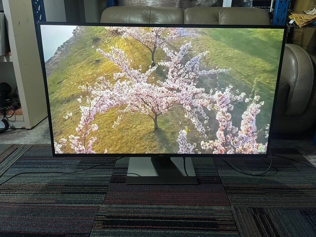Dell UltraSharp U4320Q 4K USB-C Monitor | 42.5-inch 4K(3840x2160 ...