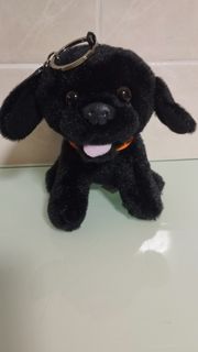 Uniqlo KAWS x Peanuts Black Plush Dog, Hobbies & Toys, Toys & Games on ...