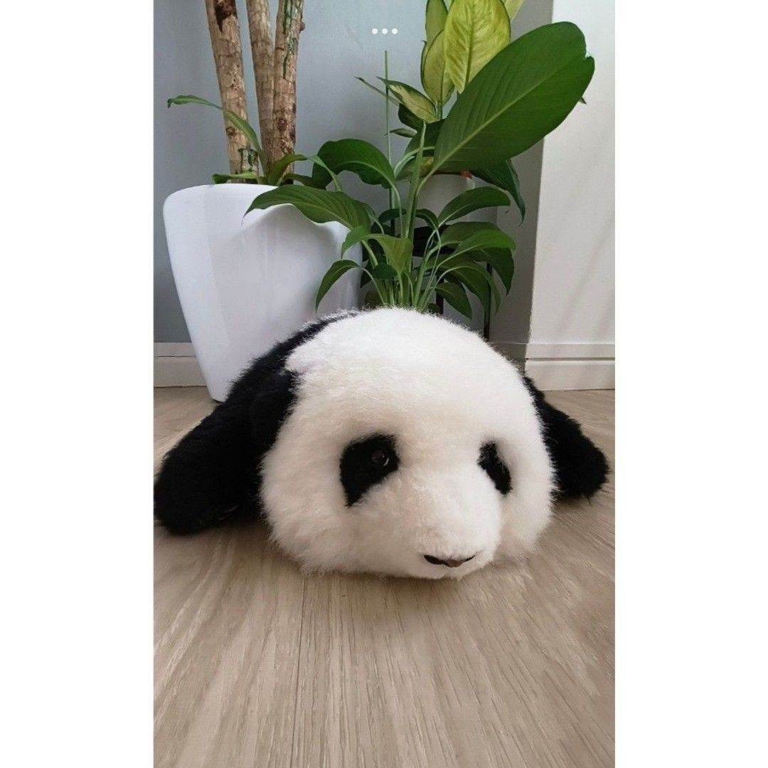 Giant Panda from Chengdu, Hobbies & Toys, Toys & Games on Carousell