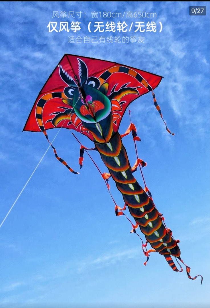 Centipede Kite, Hobbies & Toys, Toys & Games on Carousell