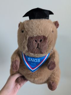 Capybara/ Snoopy/ Penguin/ Bear Plush, Hobbies & Toys, Toys & Games on ...