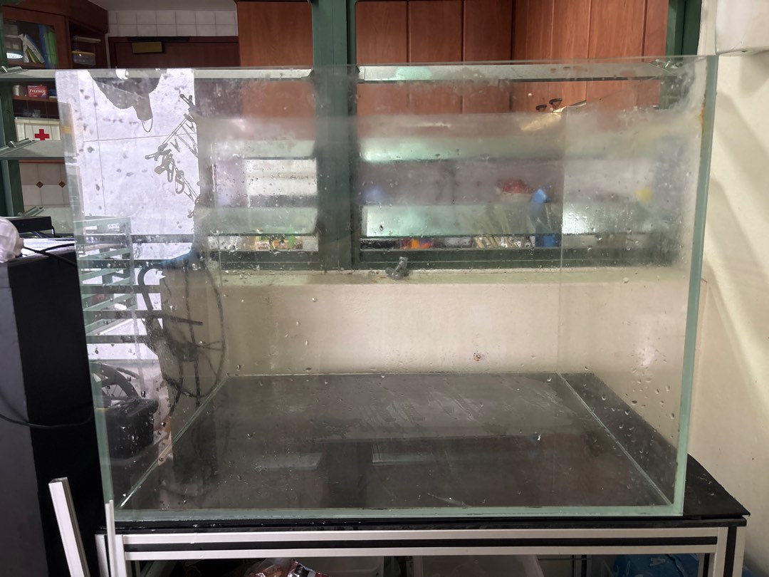 Used crystal Glass Tank 60x45x45, Pet Supplies, Homes & Other Pet ...