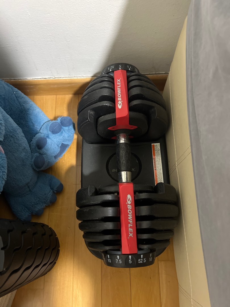 Bowflex SelectTech 552 Adjustable Dumbbell - Pair, Sports Equipment ...
