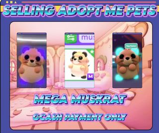 Pet sitting Services!, Video Gaming, Gaming Accessories, In-Game ...