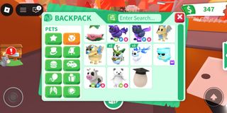 ADOPT ME BUNDLE PETS | ROBLOX, Video Gaming, Gaming Accessories, In ...