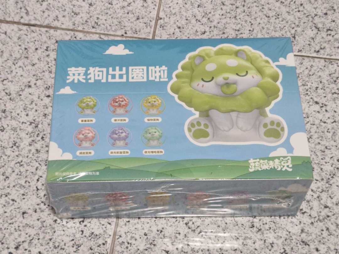 Cai Gou Chu Quan Ya Lion Blind Box Case, Hobbies & Toys, Toys & Games ...