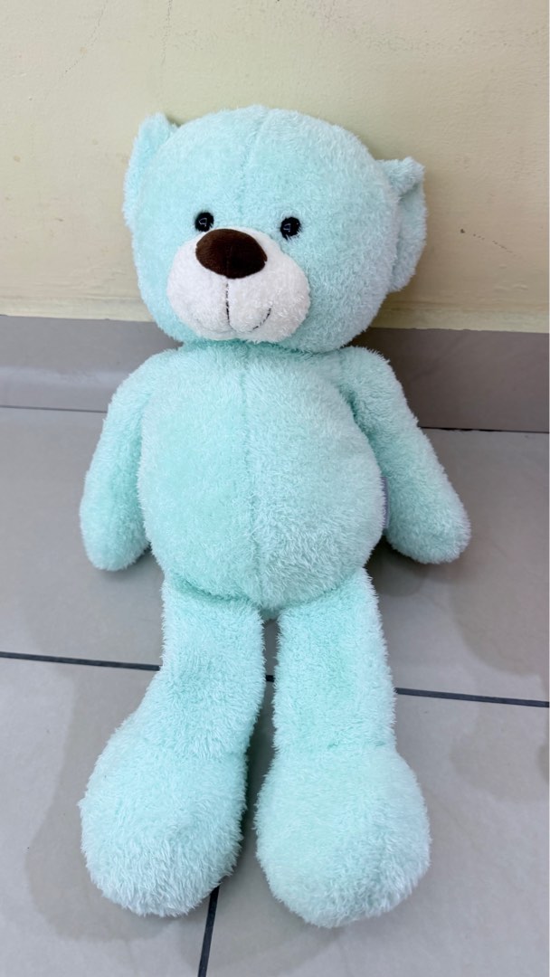 Kaison Teddy Bear - Mint Green & Pink, Hobbies & Toys, Toys & Games on ...