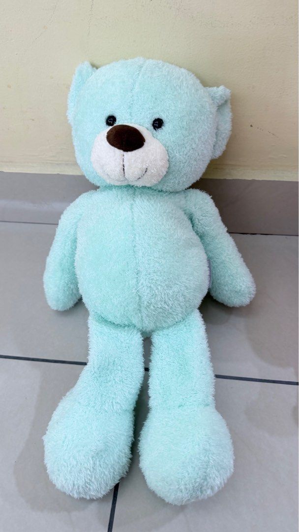 Kaison Teddy Bear - Mint Green & Pink, Hobbies & Toys, Toys & Games on ...