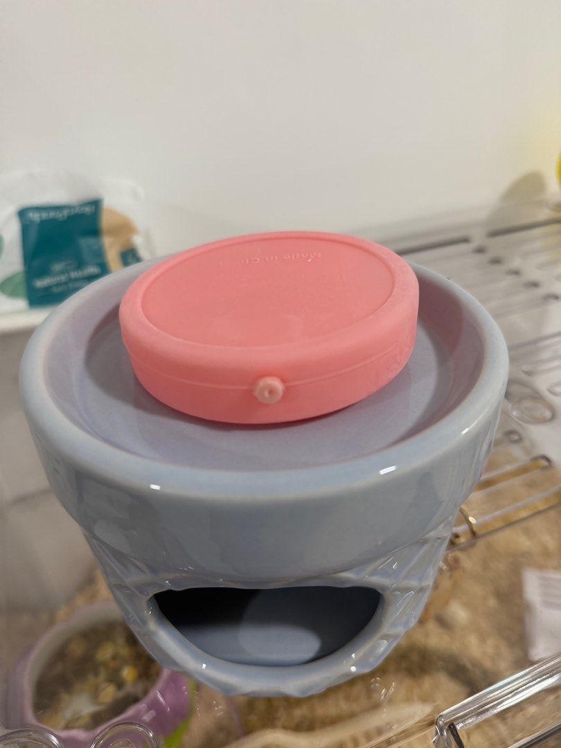 Tafit Ice Cream Cone Hamster House, Pet Supplies, Homes & Other Pet ...