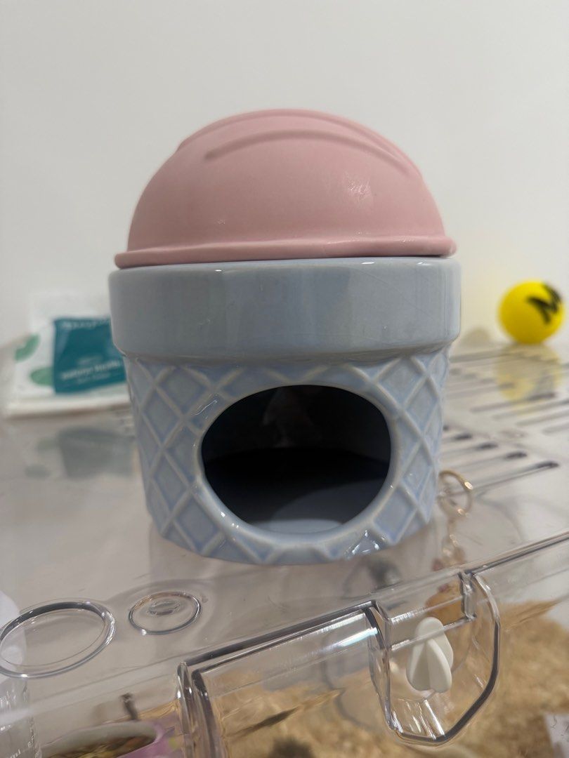 Tafit Ice Cream Cone Hamster House, Pet Supplies, Homes & Other Pet ...