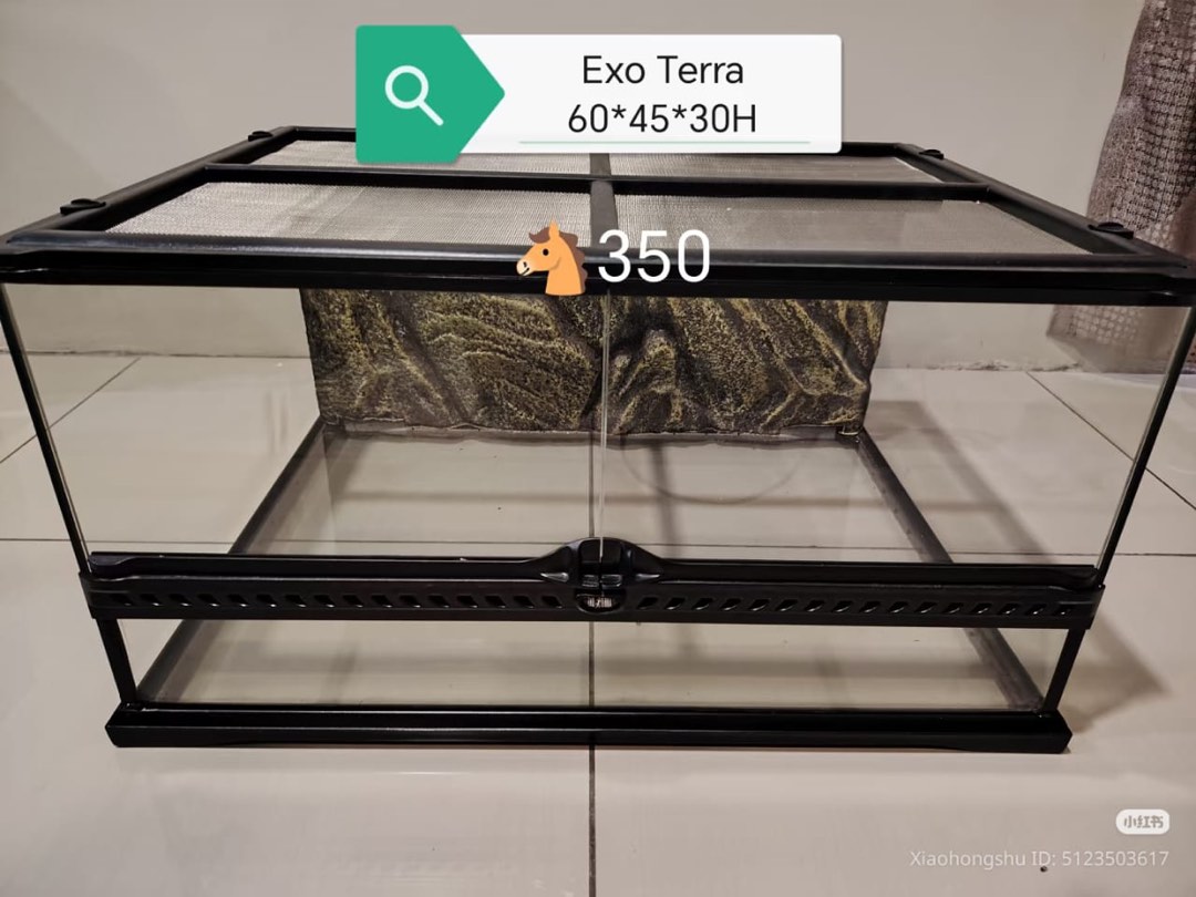 Exo Terra Terrarium 60x45x30H, Pet Supplies, Homes & Other Pet ...