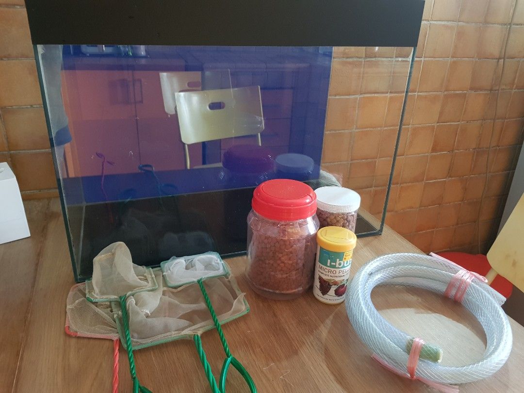 Fish Tank 2 Feet/60cm Bundle Deal/BNIB, Pet Supplies, Homes & Other Pet ...