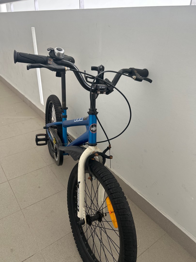 Royal baby blue bike, Sports Equipment, Bicycles & Parts, Bicycles on ...