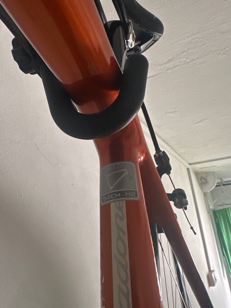 Trek Madone 5.2 Carbon Road Bike, Sports Equipment, Bicycles & Parts, Bicycles on Carousell