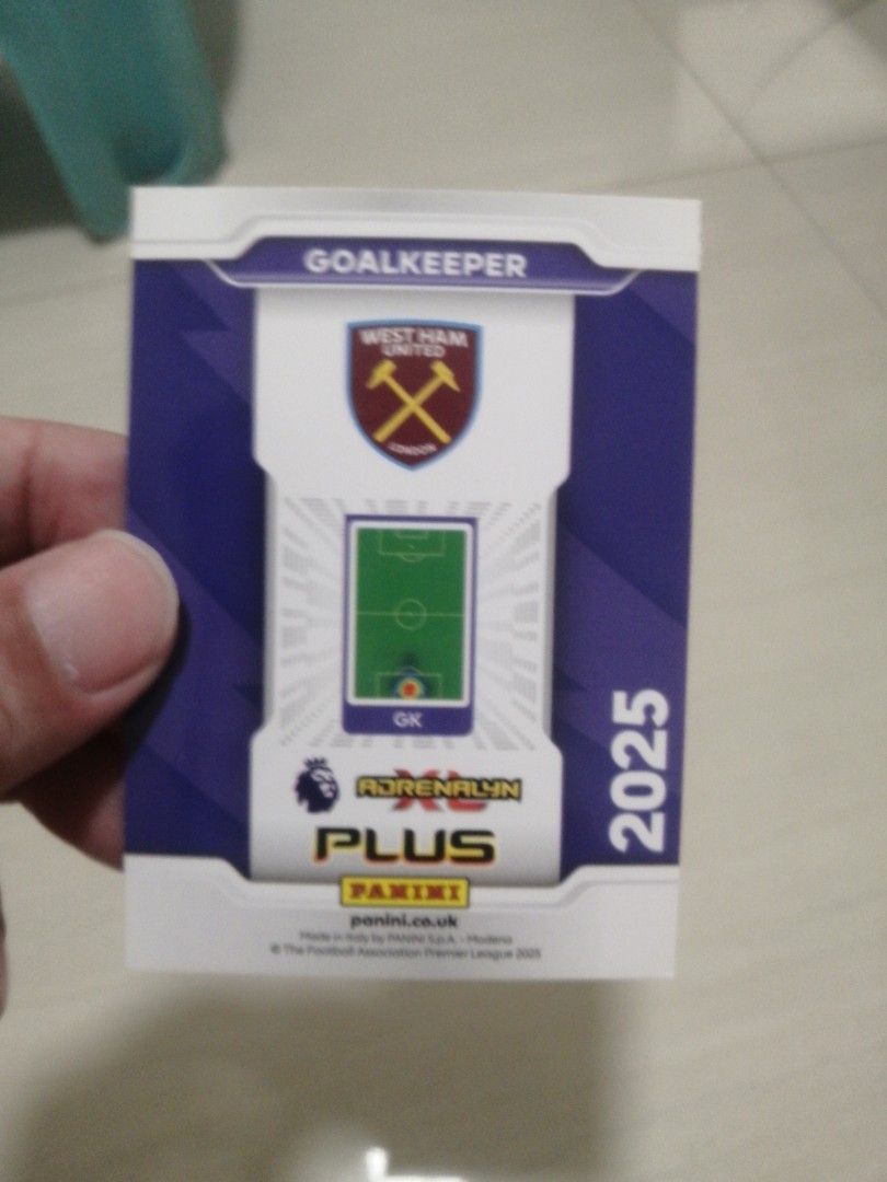 Panini Adrenalyn XL Premier League 2025 Goalkeeper Card, Hobbies & Toys ...