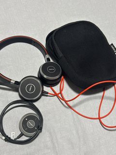 technovore evolution