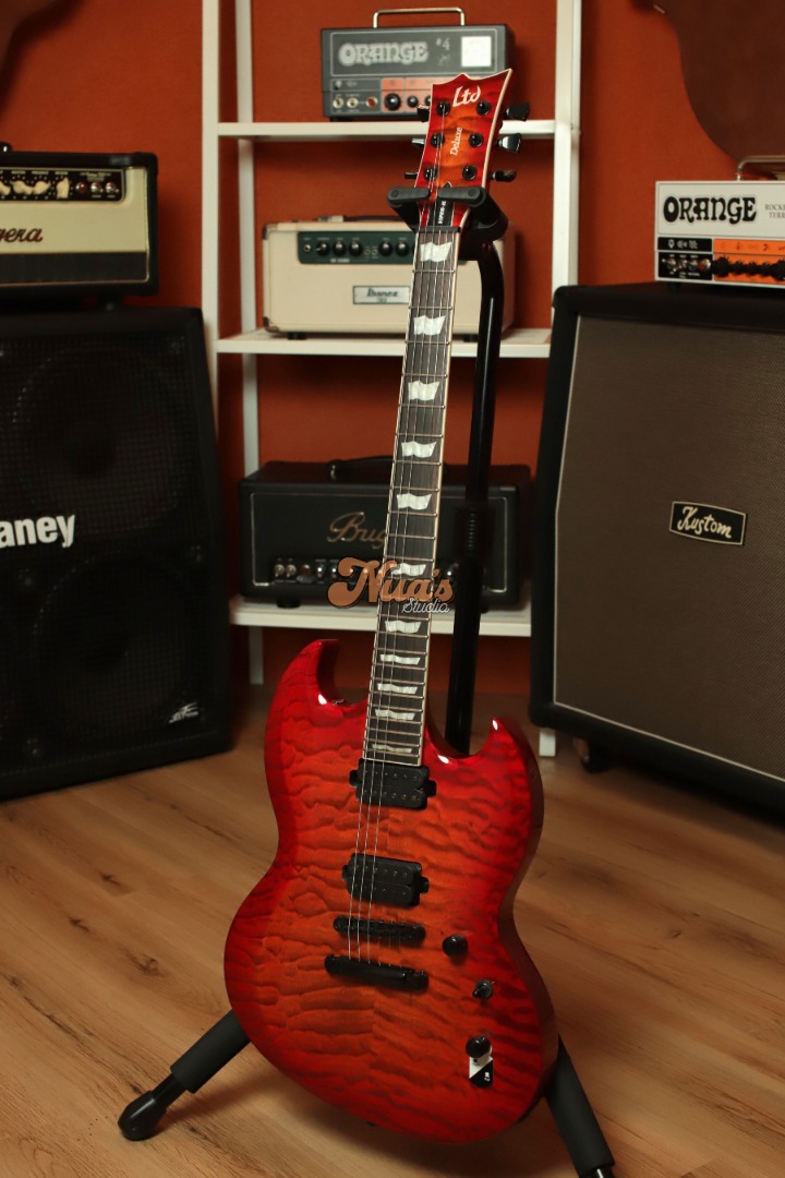 LTD VIPER 1000 DELUXE GM TESB, Hobbies & Toys, Music & Media, Musical ...