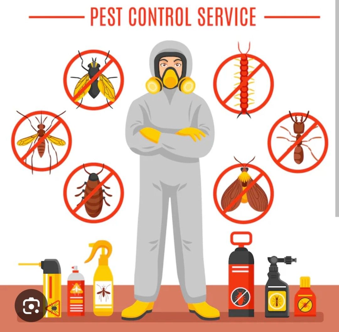 pest control VCT over 3 years, Home Services, Home Cleaning, Pest ...