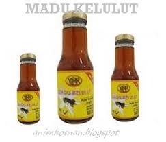 Ketupat Palas 1kg Frozen (Biasa/Jagung/Kacang/Pulut Hitam), Food ...