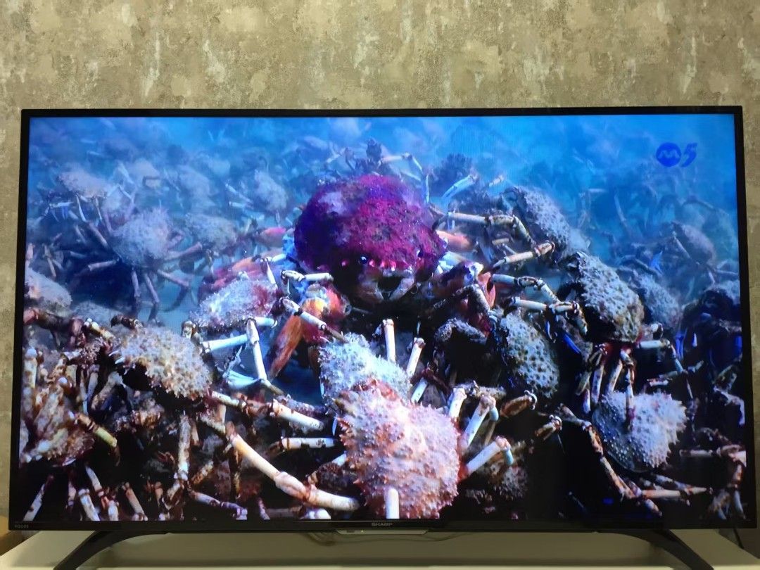 Sharp 50" Smart TV, TV & Home Appliances, TV & Entertainment, TV on ...