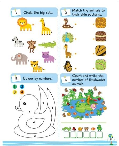 1001 Super Brain Booster Activity Book for 3+ years, Hobbies & Toys ...