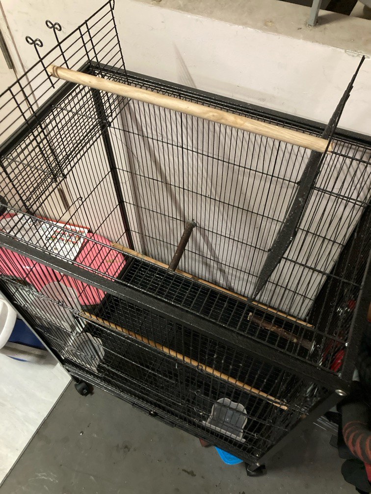 Black Bird Cage with Wheels (Large), Pet Supplies, Homes & Other Pet ...