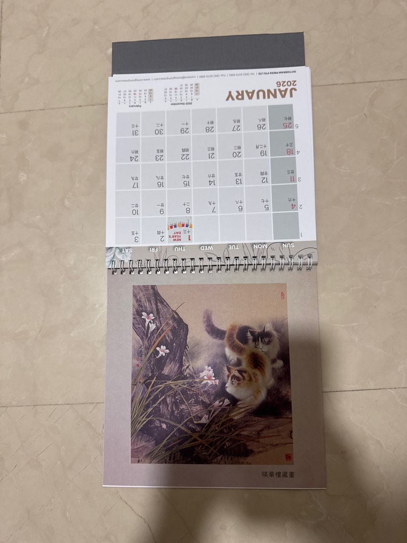 BN octogram 2026 calendar - very good material and beautiful cat photo ...