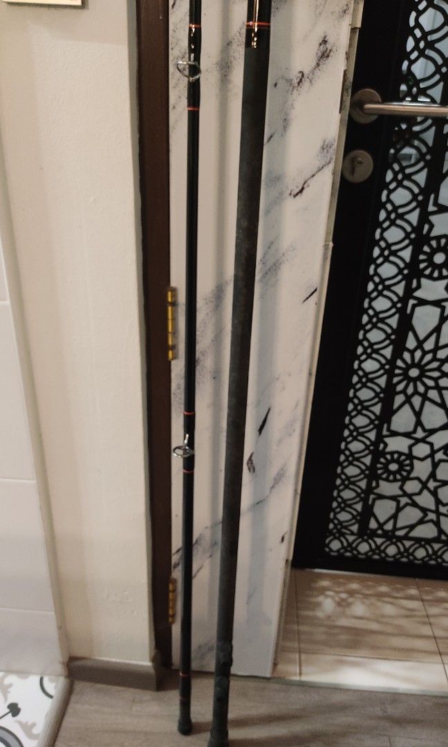 Dymic HST Zziplex Fishing Rod, Sports Equipment, Fishing on Carousell