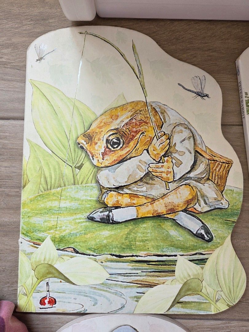 Peter Rabbit book set, Hobbies & Toys, Books & Magazines, Children's ...