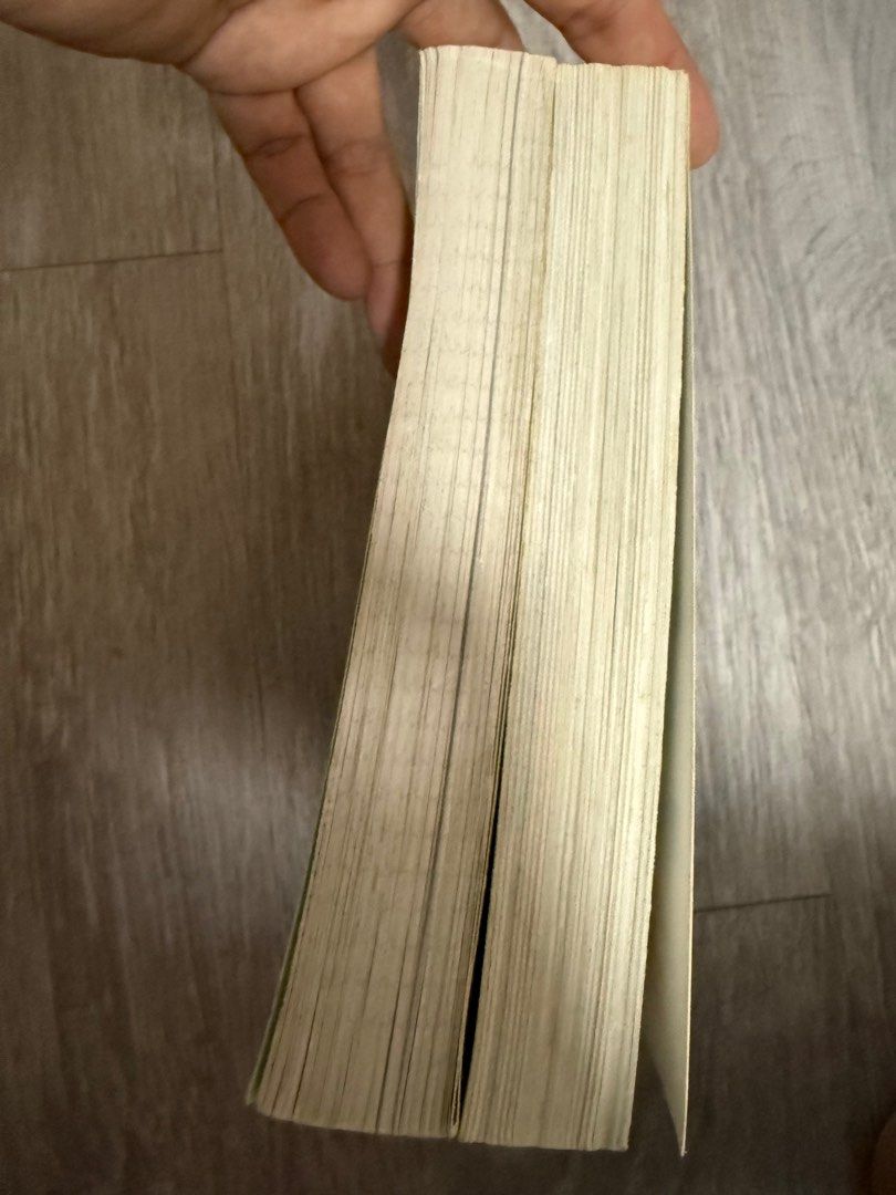 Remy Lai Books: Fly on the Wall & Pie in the Sky, Hobbies & Toys, Books ...