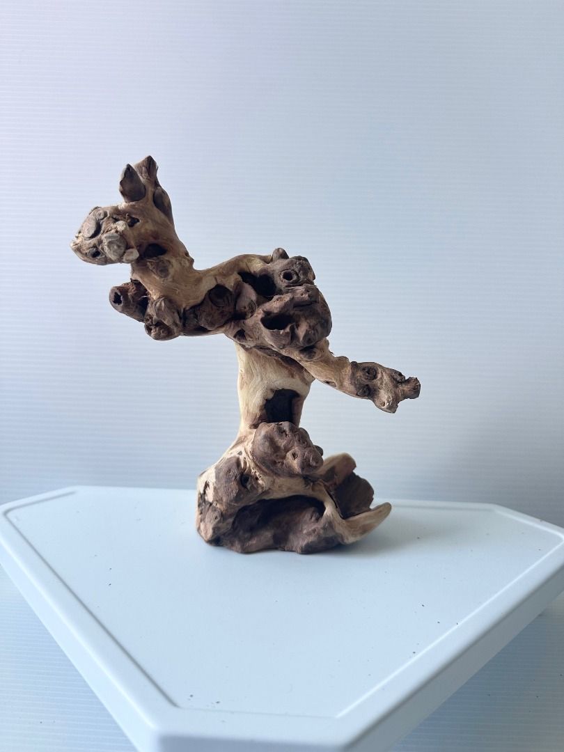 unique tree shape driftwood 15-20cm length /height for shrimp fish tank ...