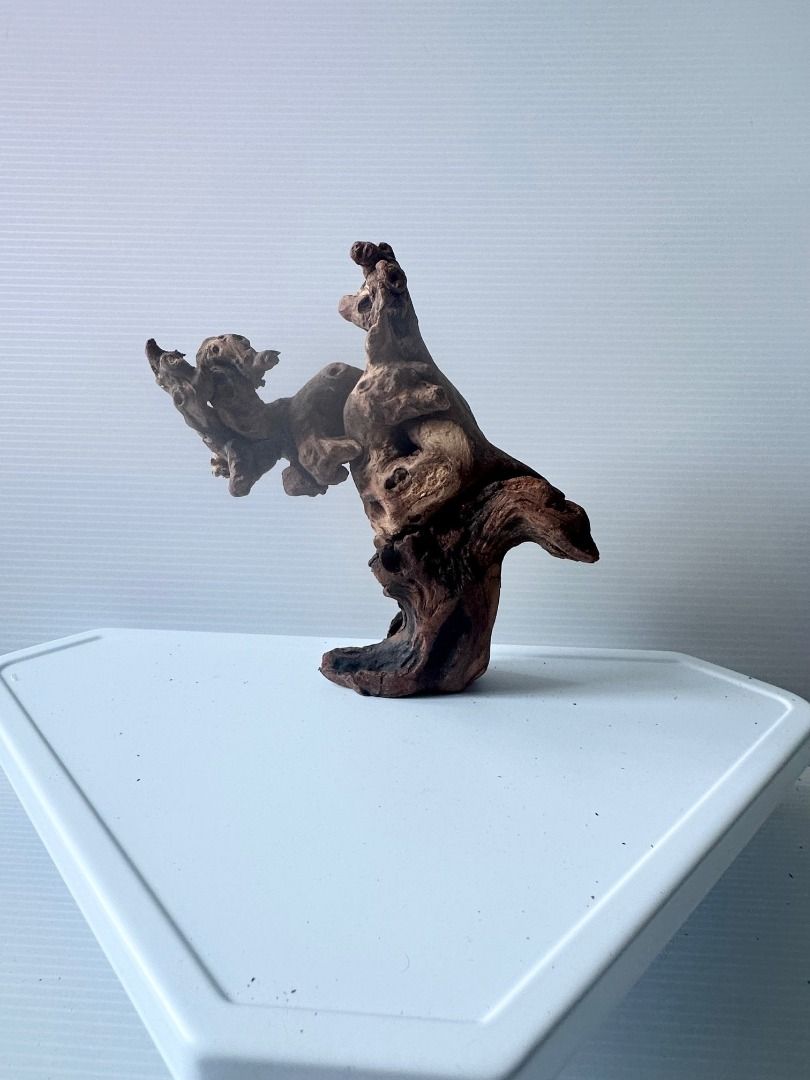 unique tree shape driftwood 15-20cm length /height for shrimp fish tank ...