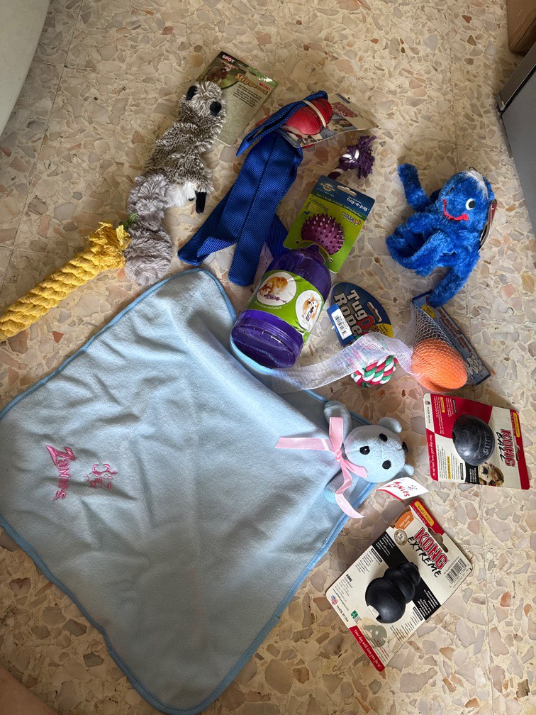 Various dog and puppy bite toys ( Kong Ball, Kong Extreme, Minute ...
