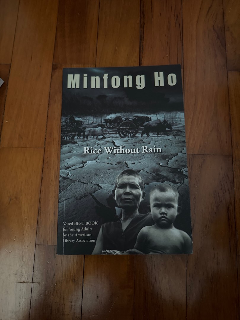 Rice Without Rain by Minfong Ho, Hobbies & Toys, Books & Magazines ...