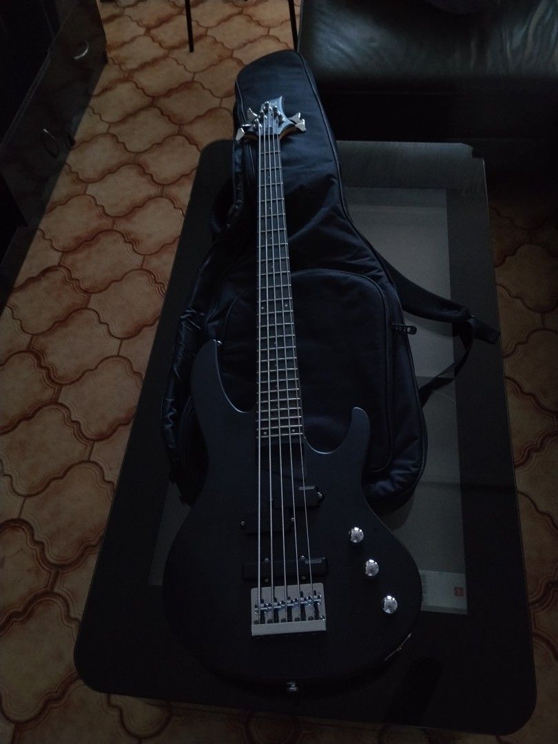 Schecter Stiletto Stealth 5-String Bass Guitar, Hobbies & Toys, Musical ...