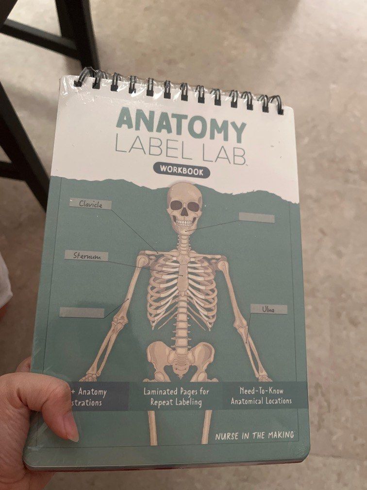 Anatomy book for kids, Hobbies & Toys, Books & Magazines, Children's ...