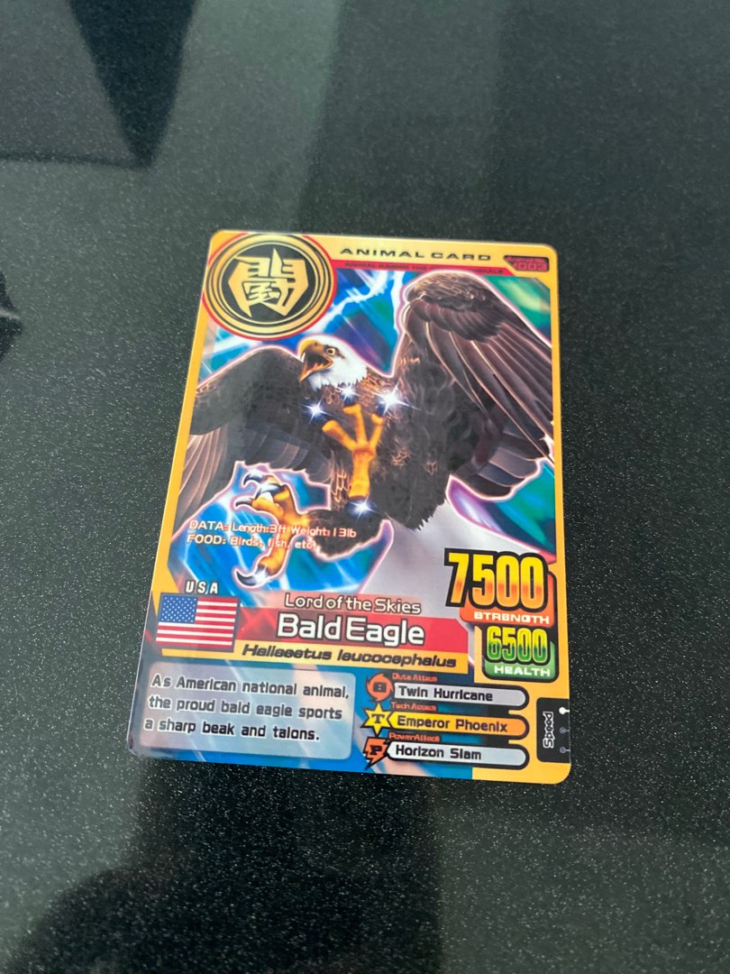 Animal Kaiser Bald Eagle, Hobbies & Toys, Toys & Games on Carousell