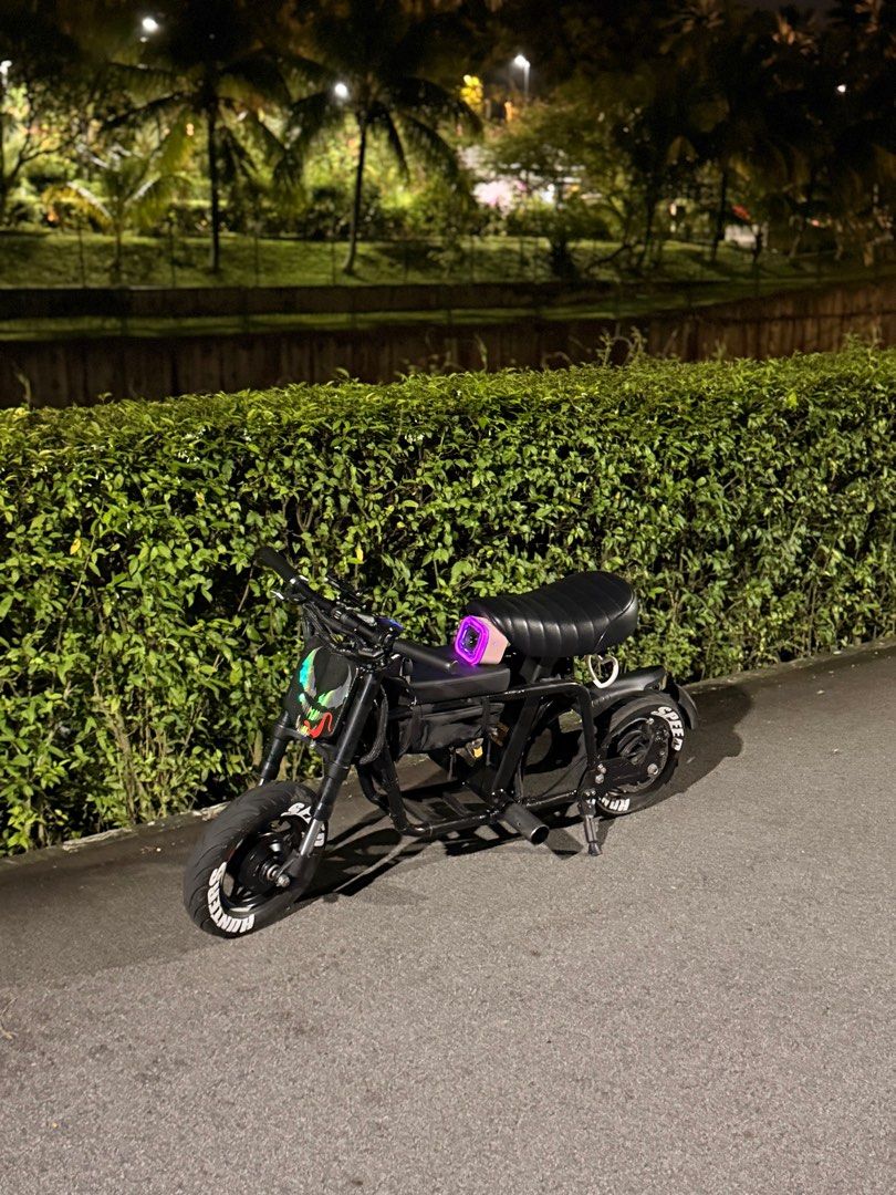 Custom Fiido Q1 Dual Motor Electric Bike, Sports Equipment, PMDs, E ...