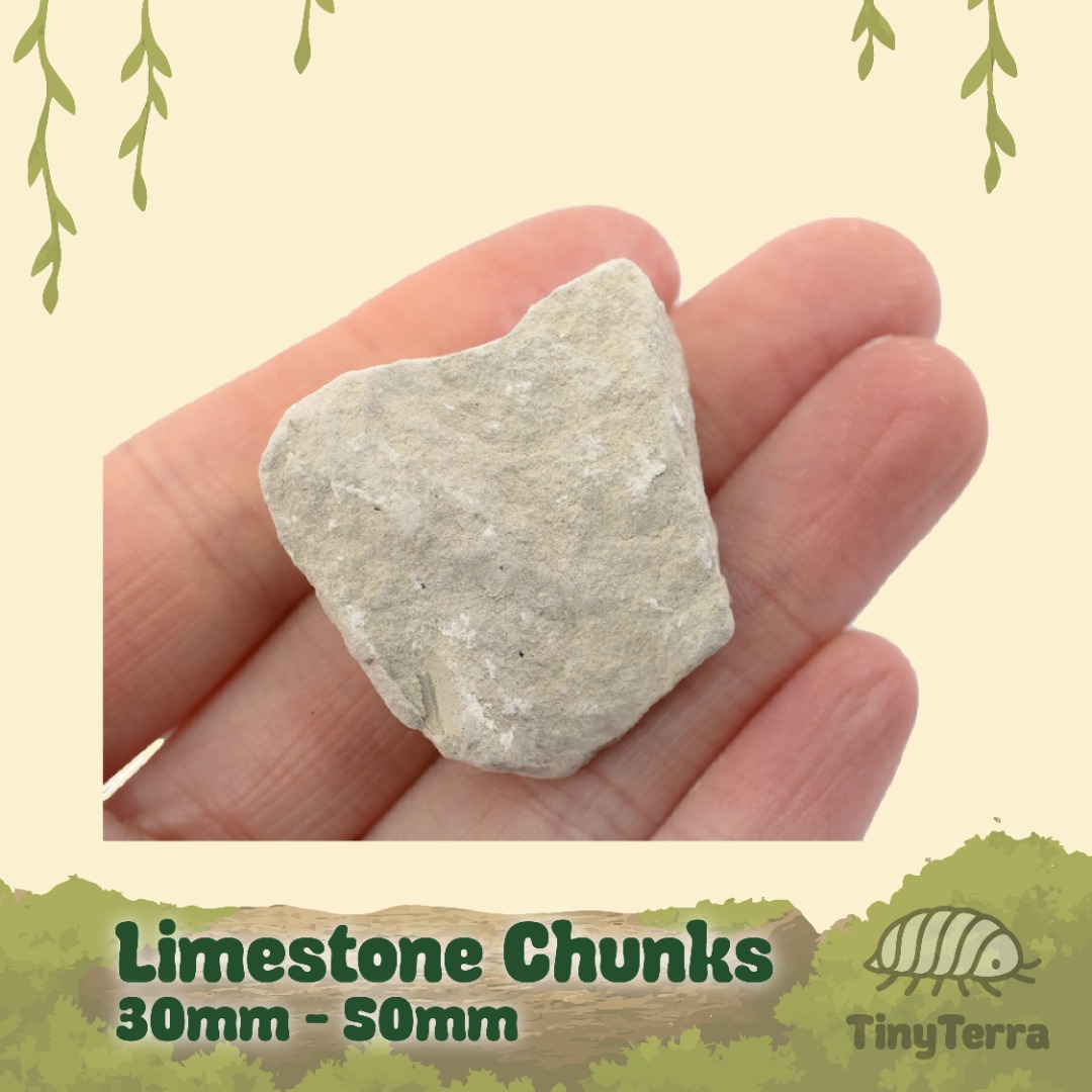 🪨 TinyTerra Limestone Chunk (30–50mm), Pet Supplies, Pet Food on Carousell
