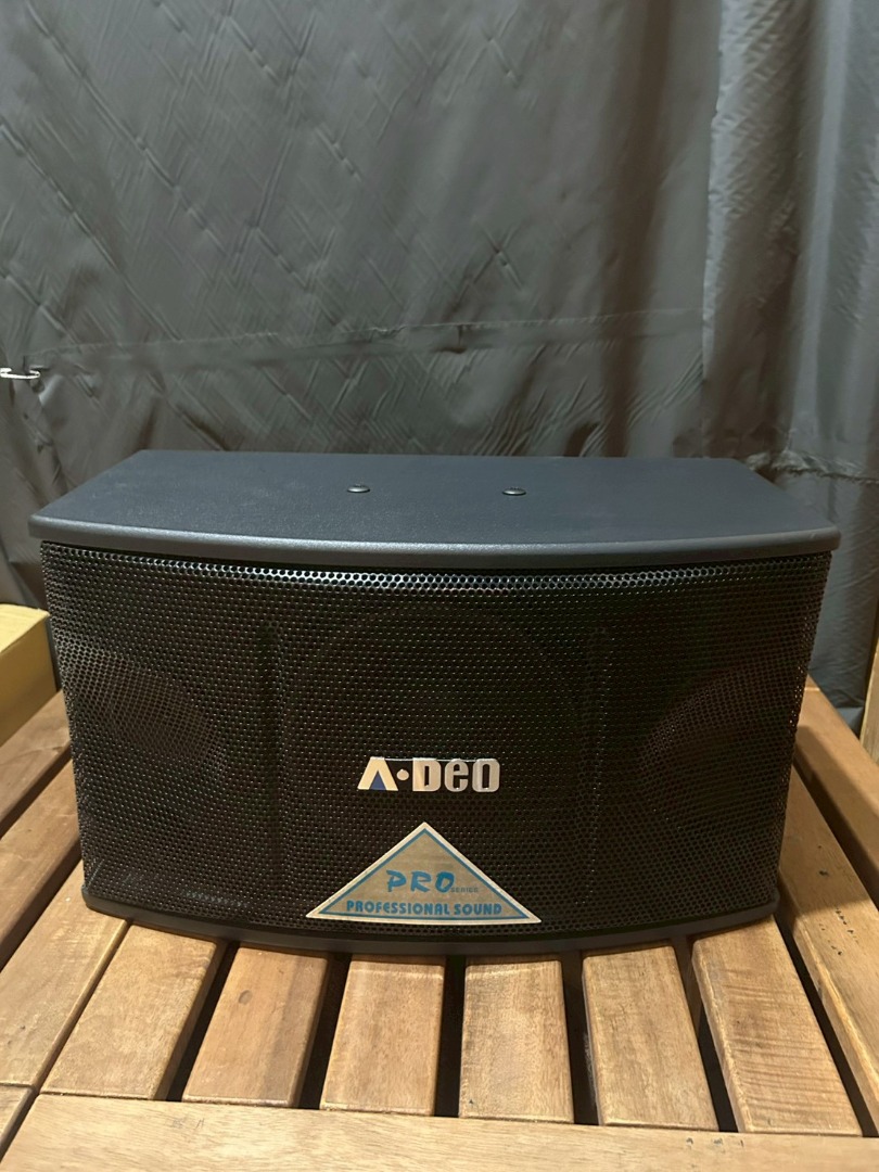 全新- PROFESSIONAL SOUND SYSTEM-喇叭單顆, 哩哩扣扣, 其他在旋轉拍賣